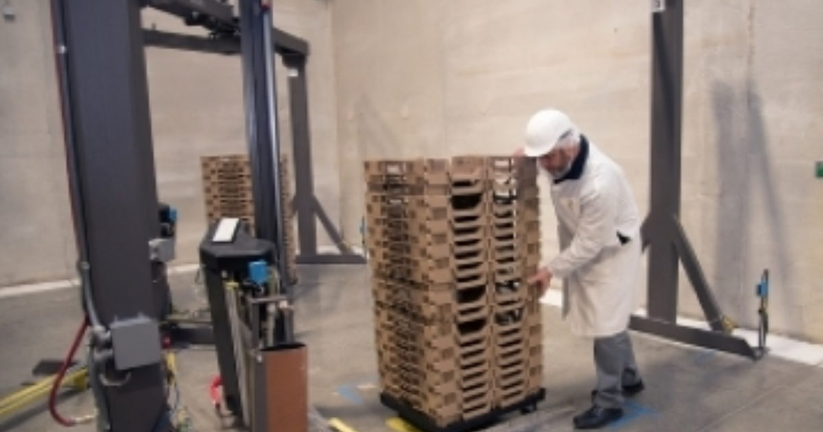 Bread Delivery With Auto Tray Stretch Wrapping | Tray & Case Stretch ...